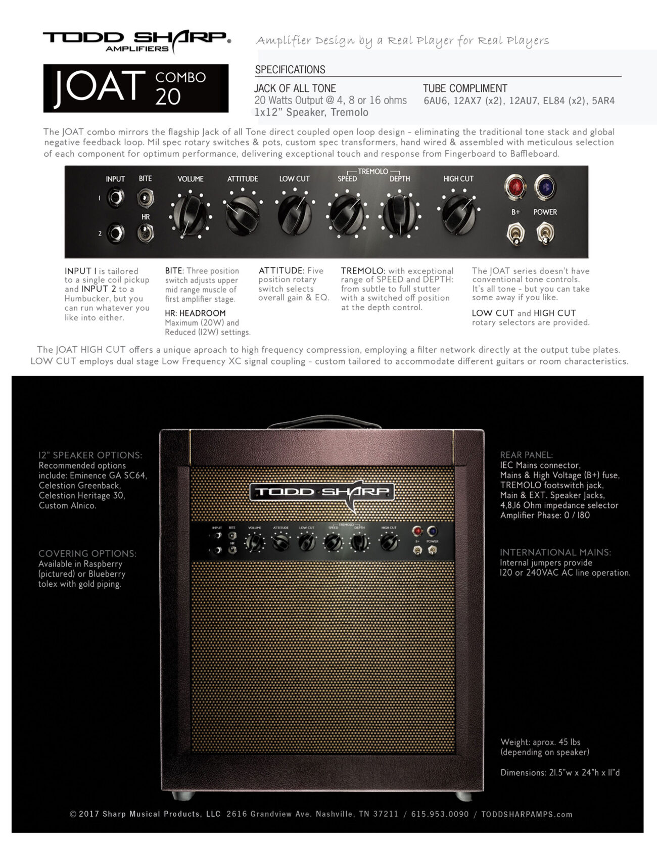 JOAT 1x12" 20W Combo - Todd Sharp